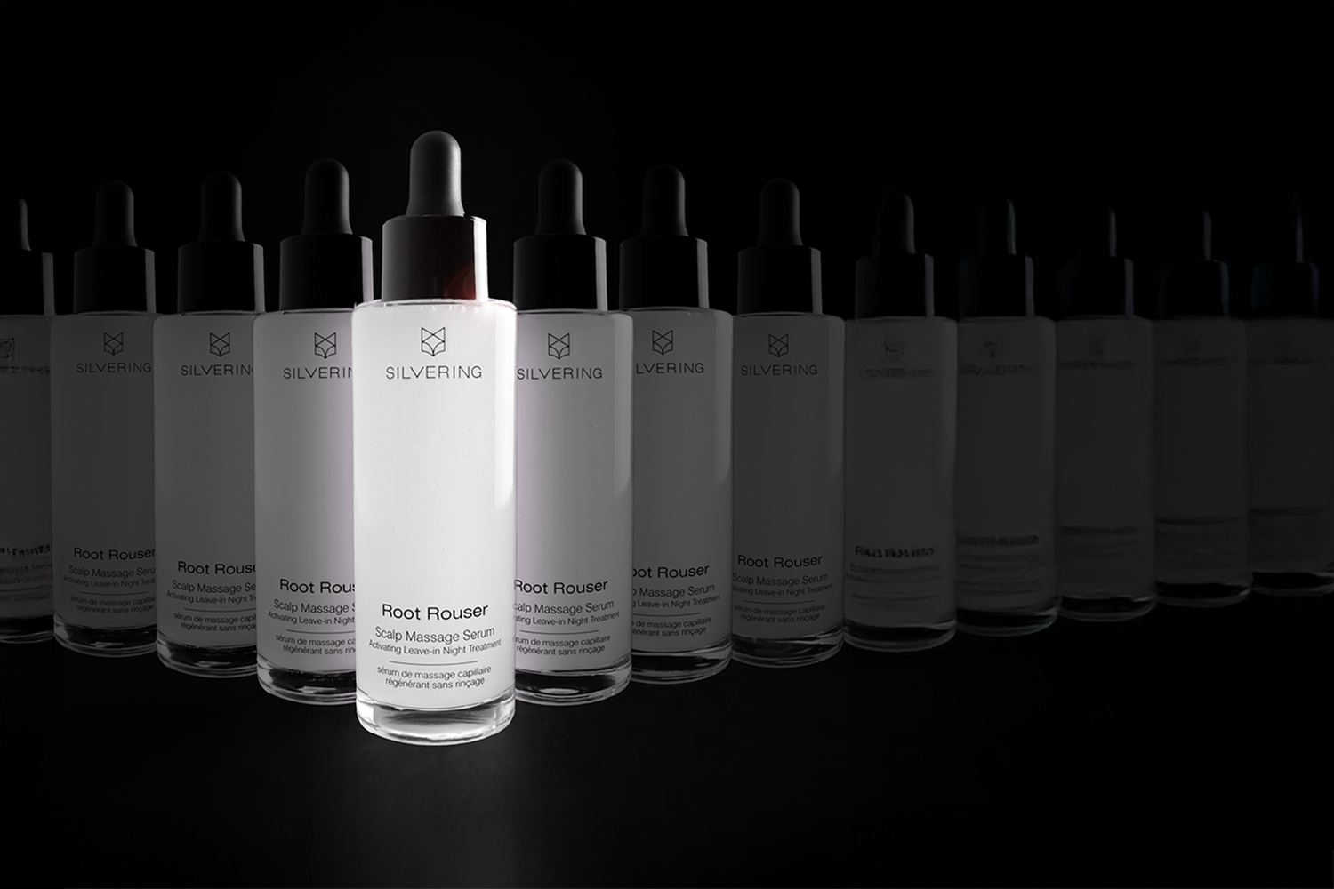 Complete Collection – SilveringBeauty.com